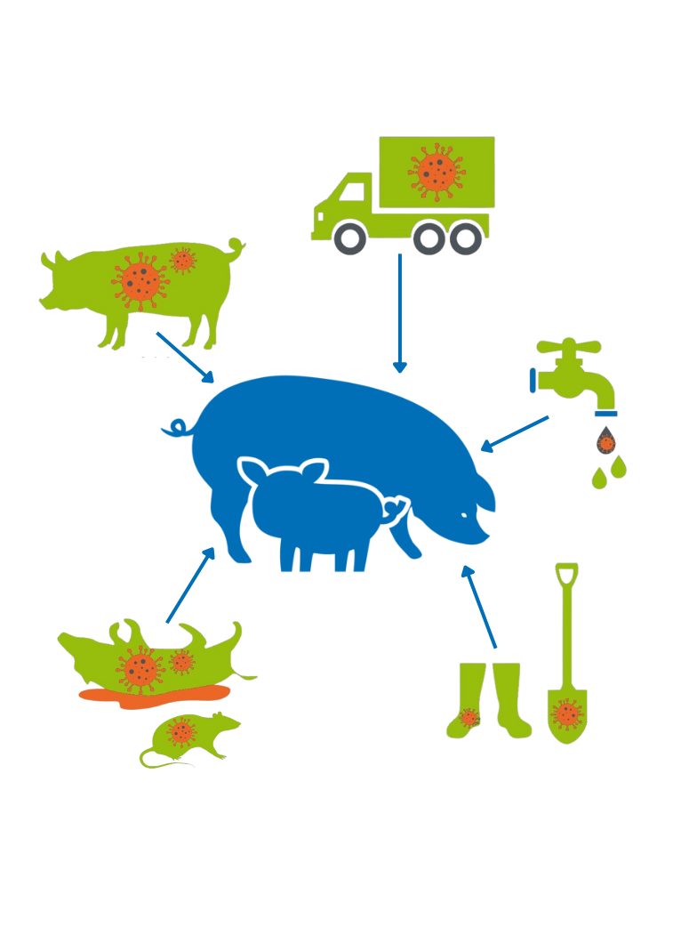 Protocol on a Pig Farm